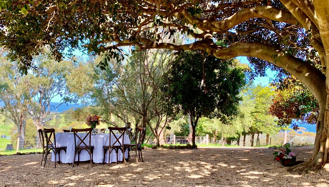 Fig Tree Park | Wedlockers