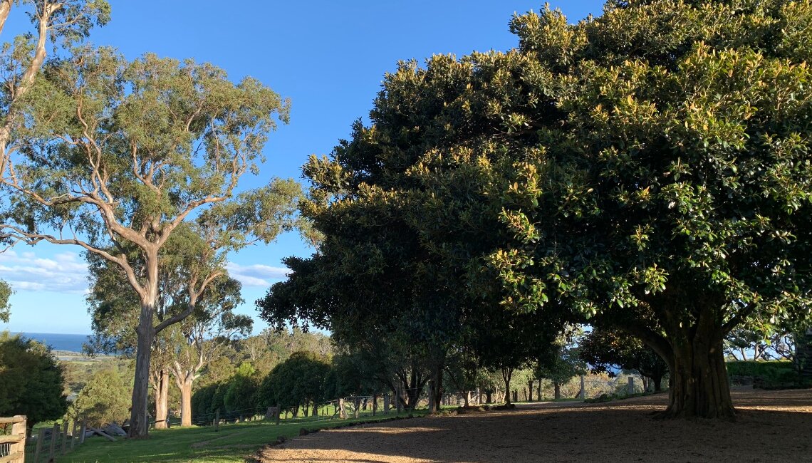 Fig Tree Park | Wedlockers