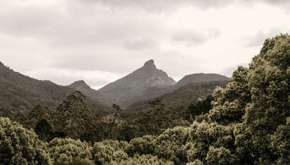 Mavis Kitchen | Wedlockers