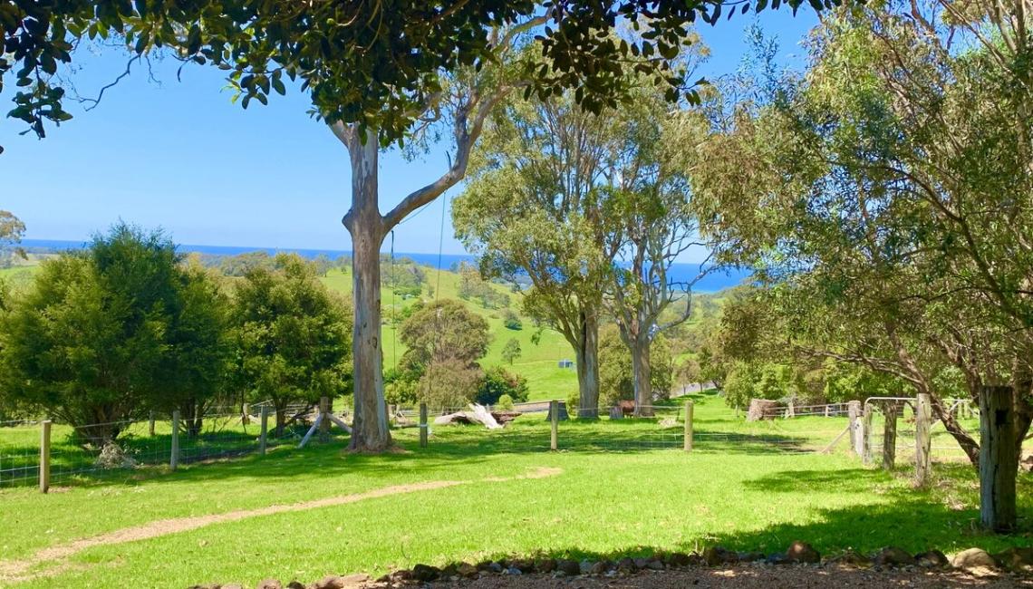 Fig Tree Park | Wedlockers